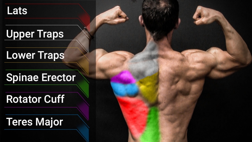 Back Day Workout - Full Back Workout for Men | ATHLEAN-X