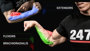 How To Do The Cable Curl | ATHLEAN-X