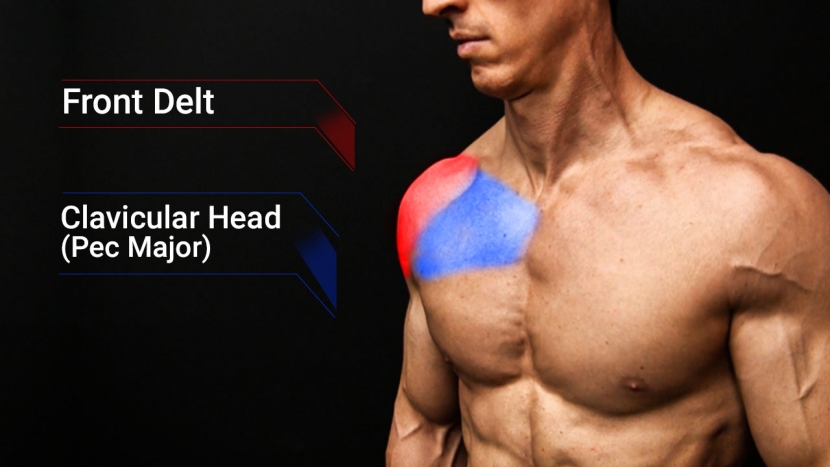 Correct Incline Bench Press Angle | How To Guide - ATHLEAN-X