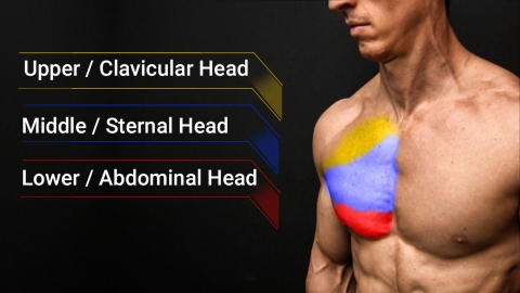 Best Lower Chest Workout | 8 Best Exercises | ATHLEAN-X