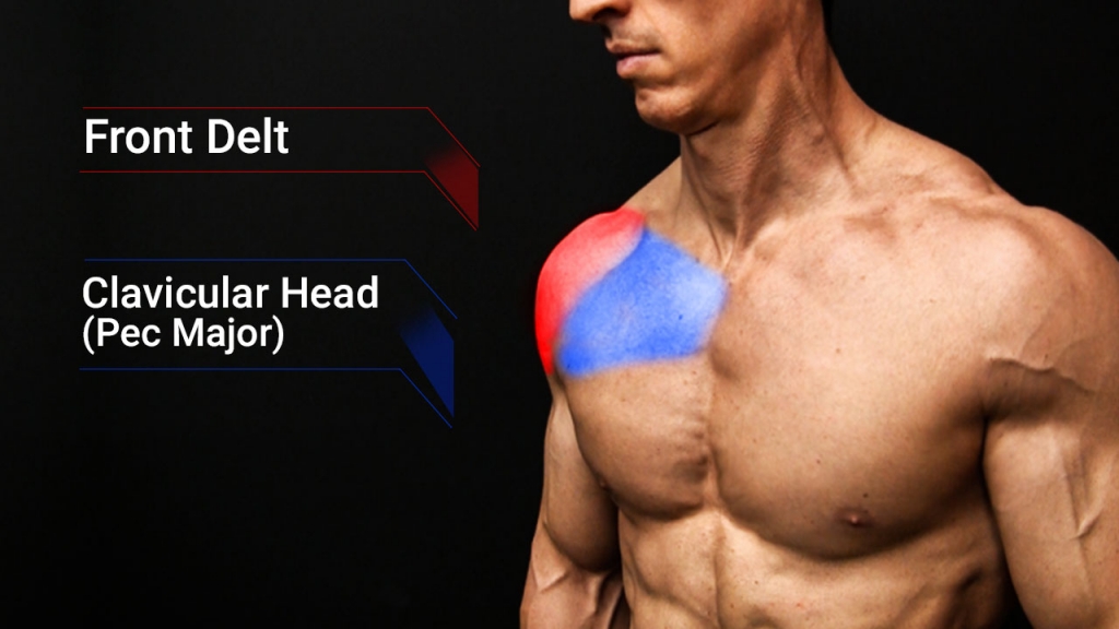 Best Upper Chest Workout | 8 Upper Chest Exercises