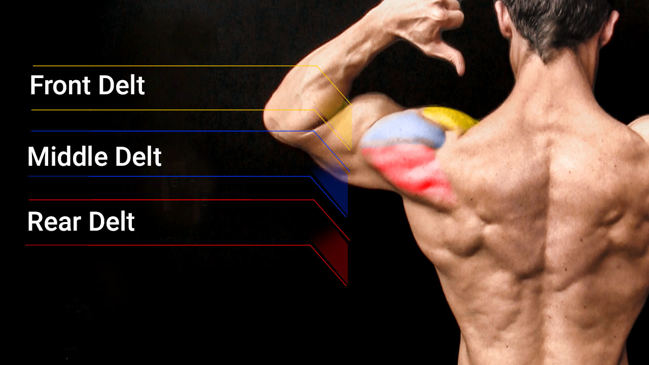 Stop Doing Upright Rows | Do This Instead | ATHLEAN-X
