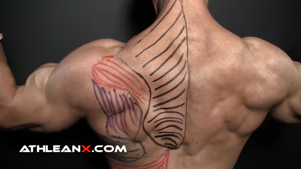 Back Day Workout - Full Back Workout for Men | ATHLEAN-X