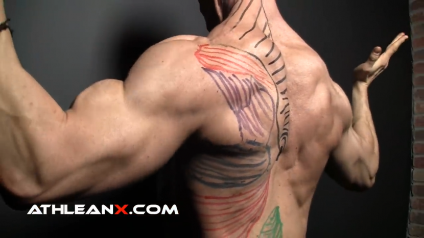 Back Day Workout - Full Back Workout for Men | ATHLEAN-X