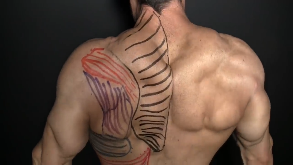 Back Day Workout - Full Back Workout for Men | ATHLEAN-X