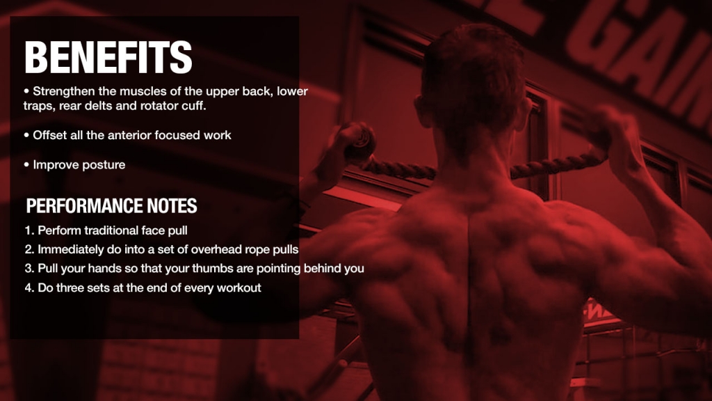 Do Face Pulls After Every Workout | ATHLEAN-X