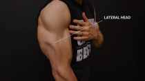 Cable Triceps Extensions | ATHLEAN-X