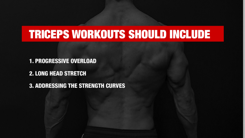 Tricep Workouts - Best Exercises for Muscle and Strength