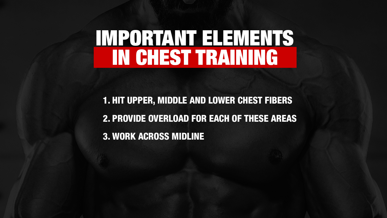 Chest Workouts - Best Exercises for Muscle and Strength