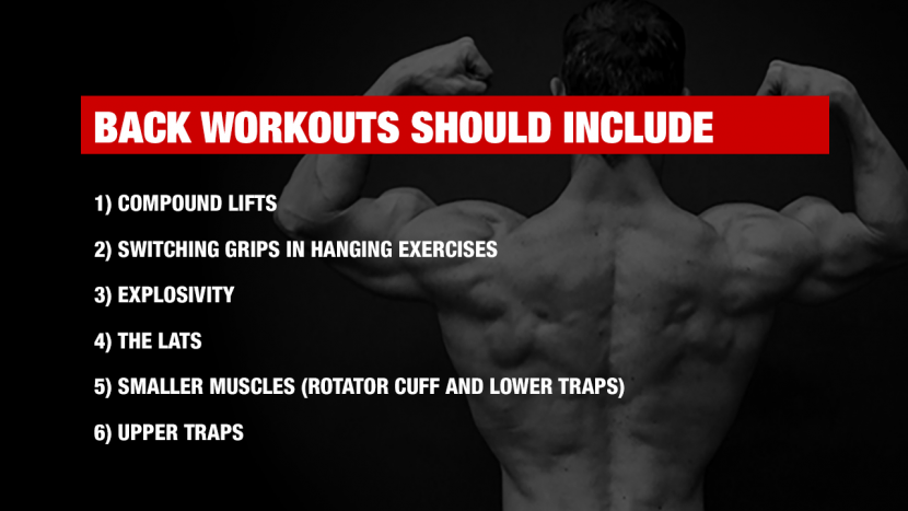 Back Workouts - Best Exercises for Muscle and Strength