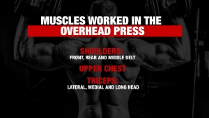 How To Do An Overhead Press | Overhead Presses | ATHLEAN-X