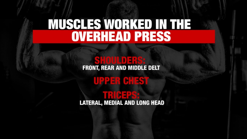 How To Do An Overhead Press | Overhead Presses | ATHLEAN-X