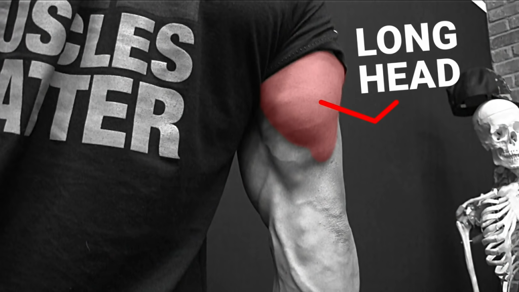 Long Head Triceps Exercises for Bigger Arms | ATHLEAN-X