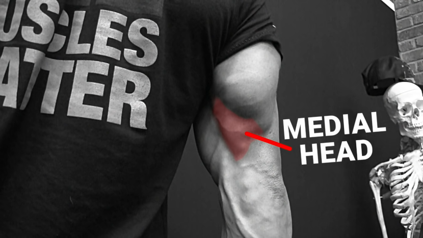 Cable Triceps Extensions | ATHLEAN-X