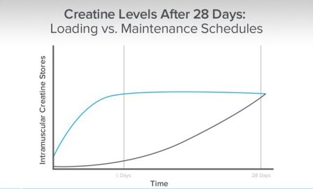 Best Muscle Building Supplements | ATHLEAN-X